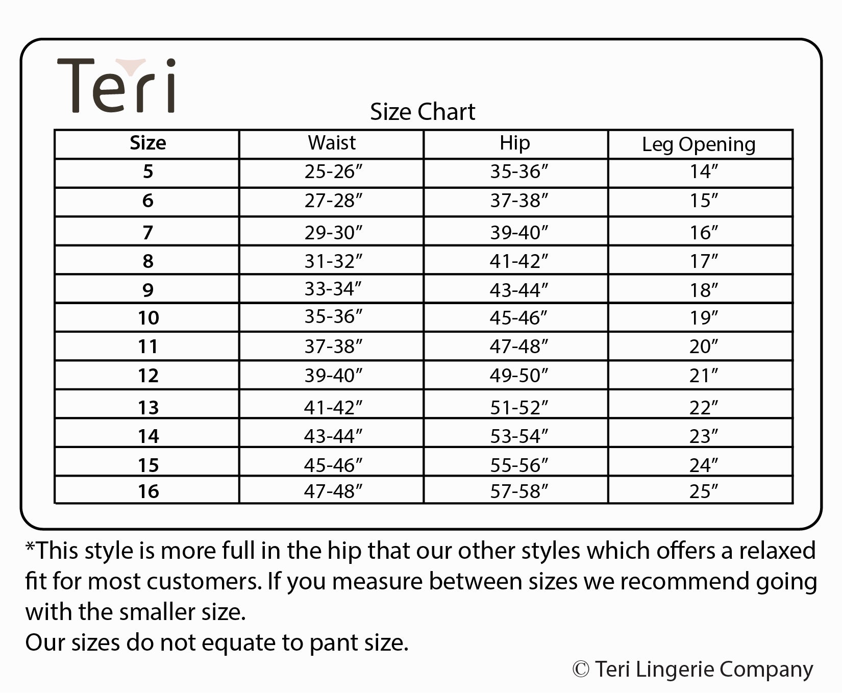 Nylon Brief Panty (Style 331/Plain Jane) 4 Pack in Seafoam Green – Luv ...