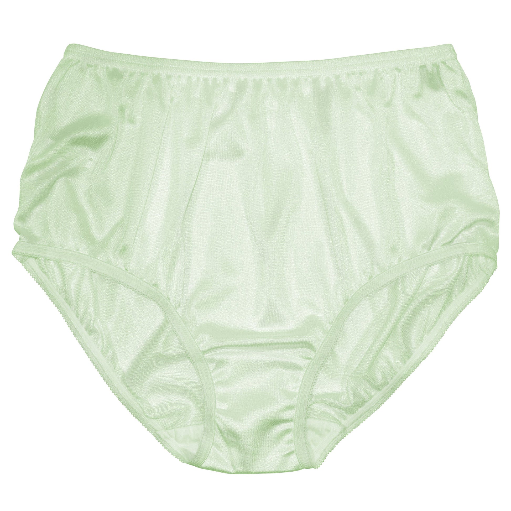 Nylon Brief Panty (Style 331/Plain Jane) 4 Pack in Seafoam Green – Luv ...